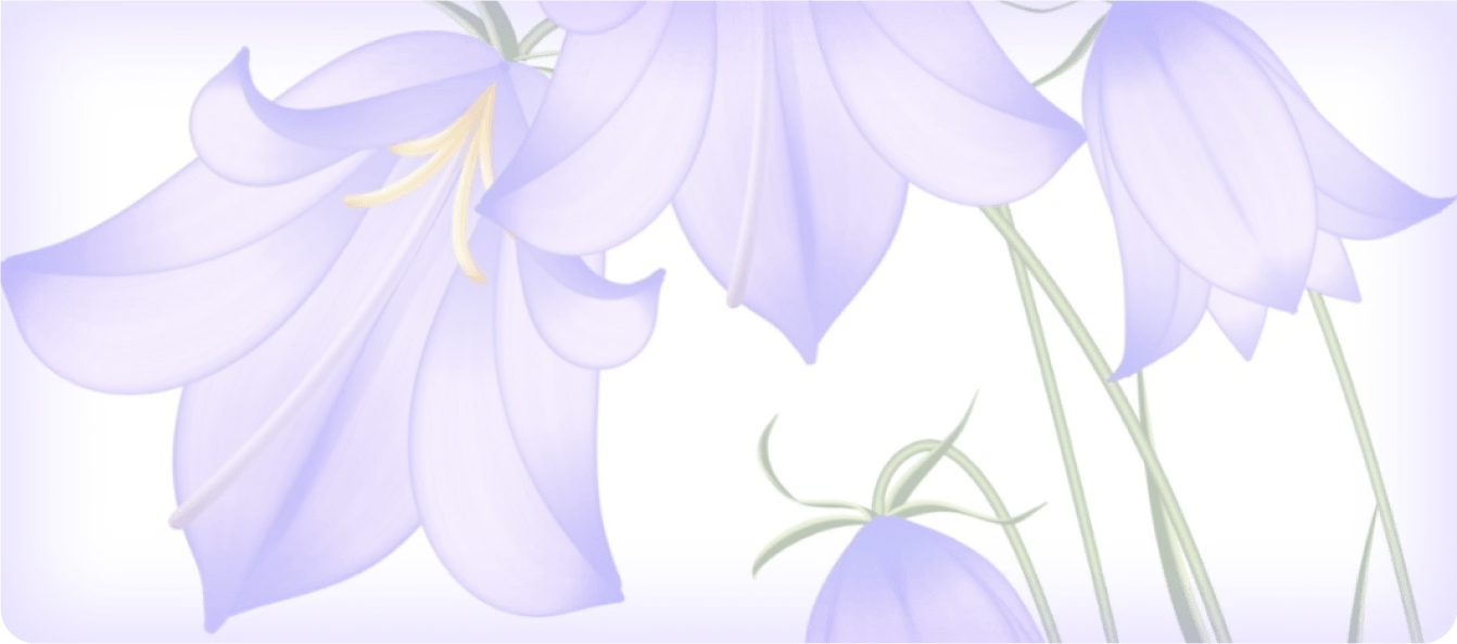 Harebell Drawing Tutorial for Procreate - Twotap.art